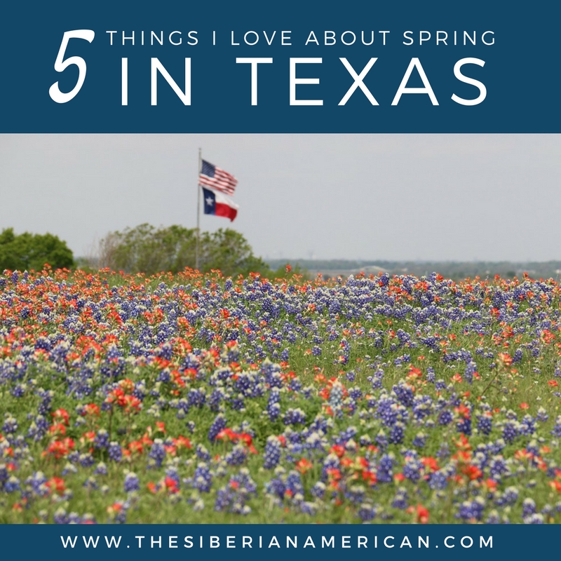 The Siberian American: Five Reasons I Love Spring in Texas