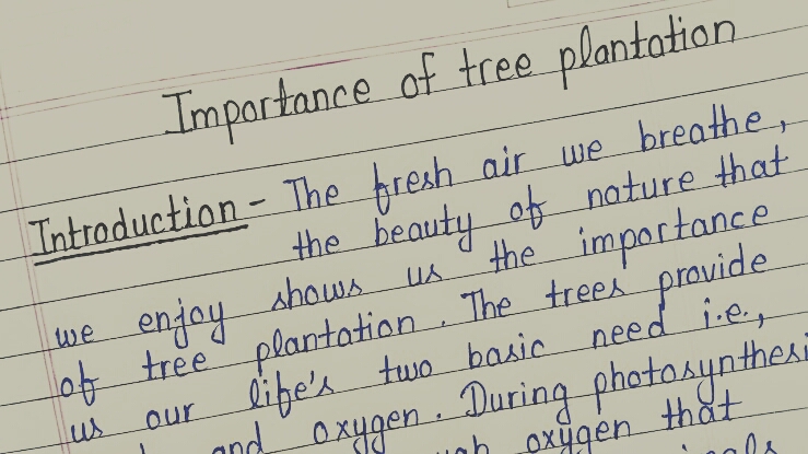 Tree plantation composition in English