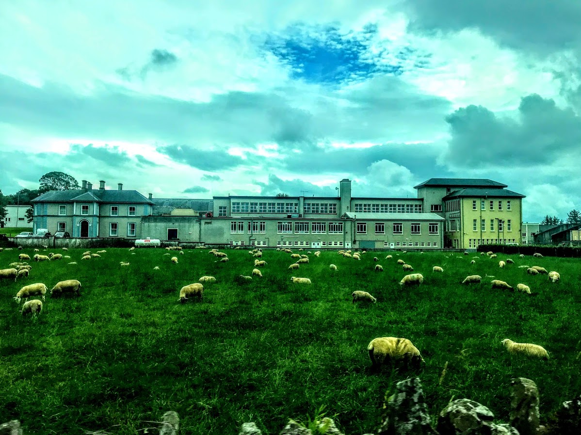 Patrick Comerford: Before Copsewood House in Pallaskenry became a ...