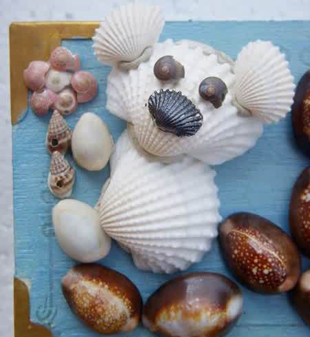 shell animal creatures craft for kids ~ art projects art ideas