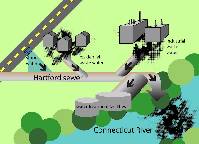 GoodLand Project: A Rain Garden's Ripple Effect: An Introduction to ...