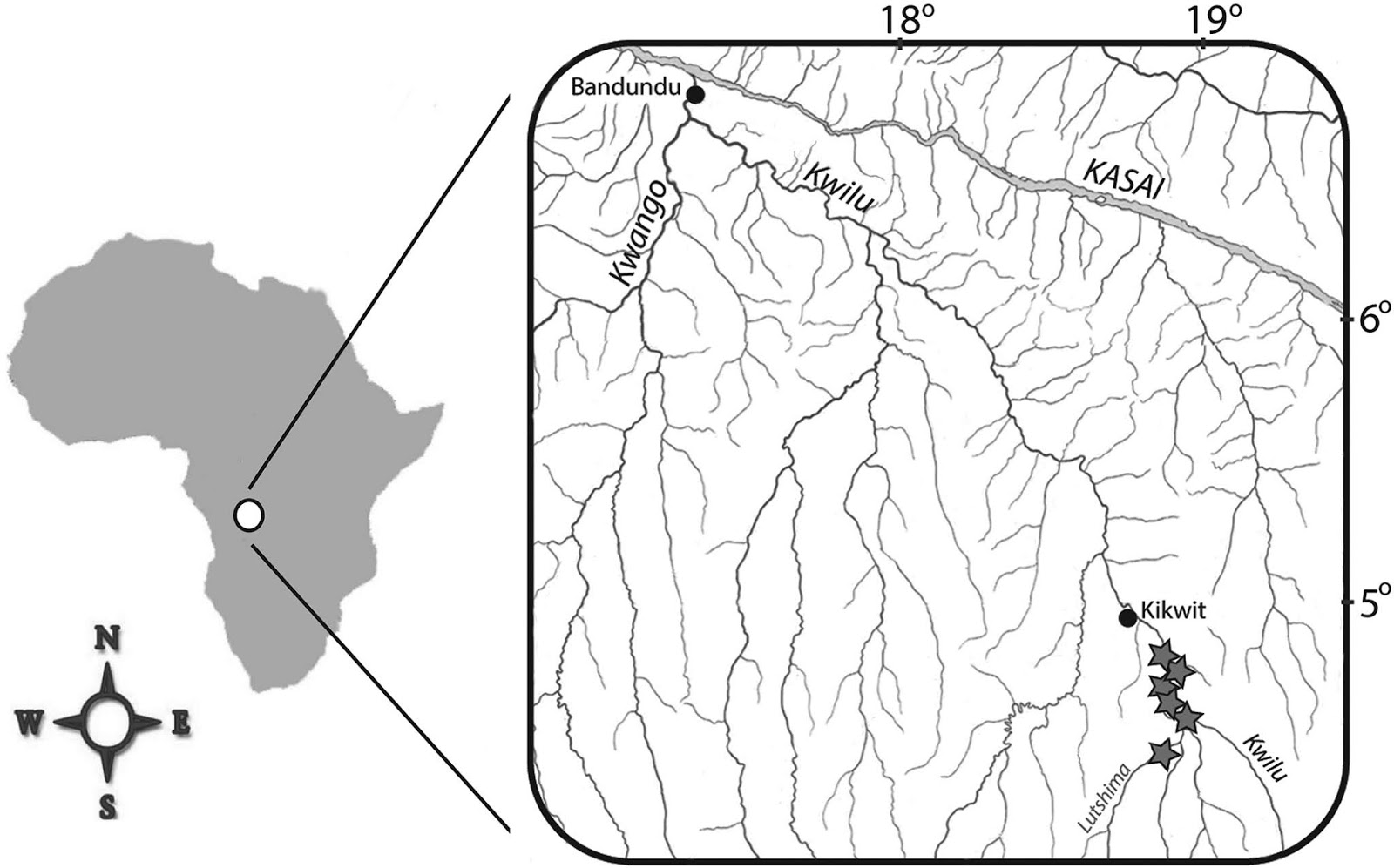 Artes de Pesca: ACTINOPTERYGII