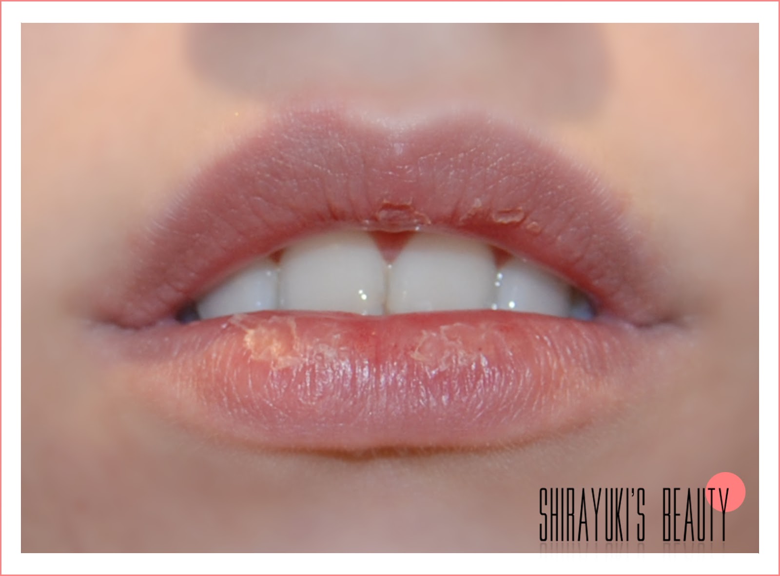 Shirayuki's Beauty: diciembre 2012