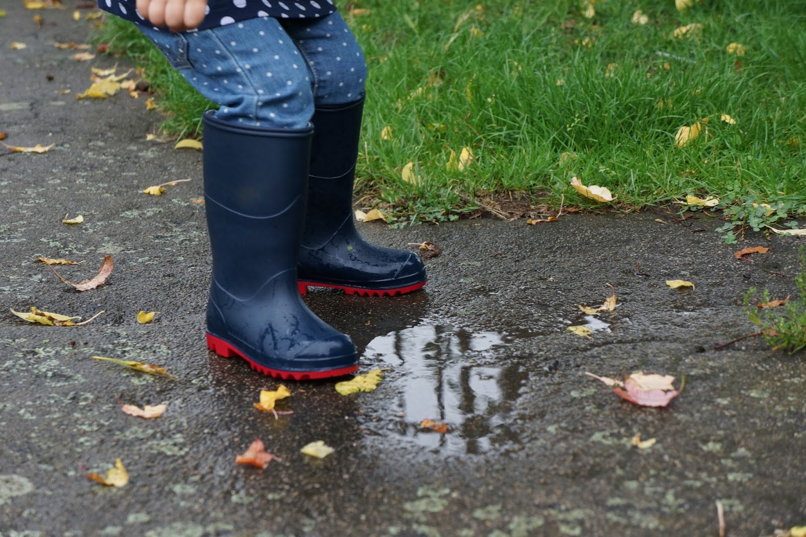 Muddy puddles in (little) muddy puddles