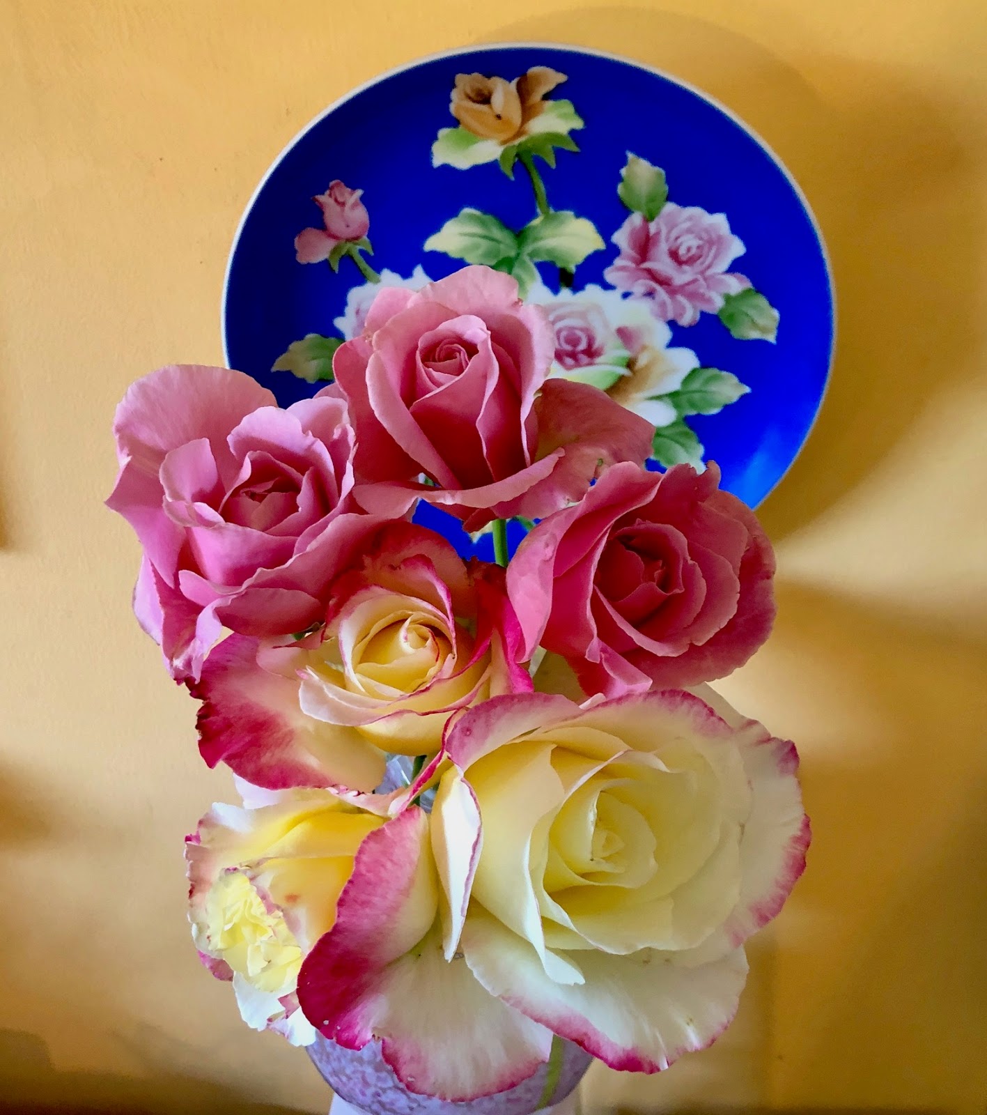 White Rose With Purple Tips