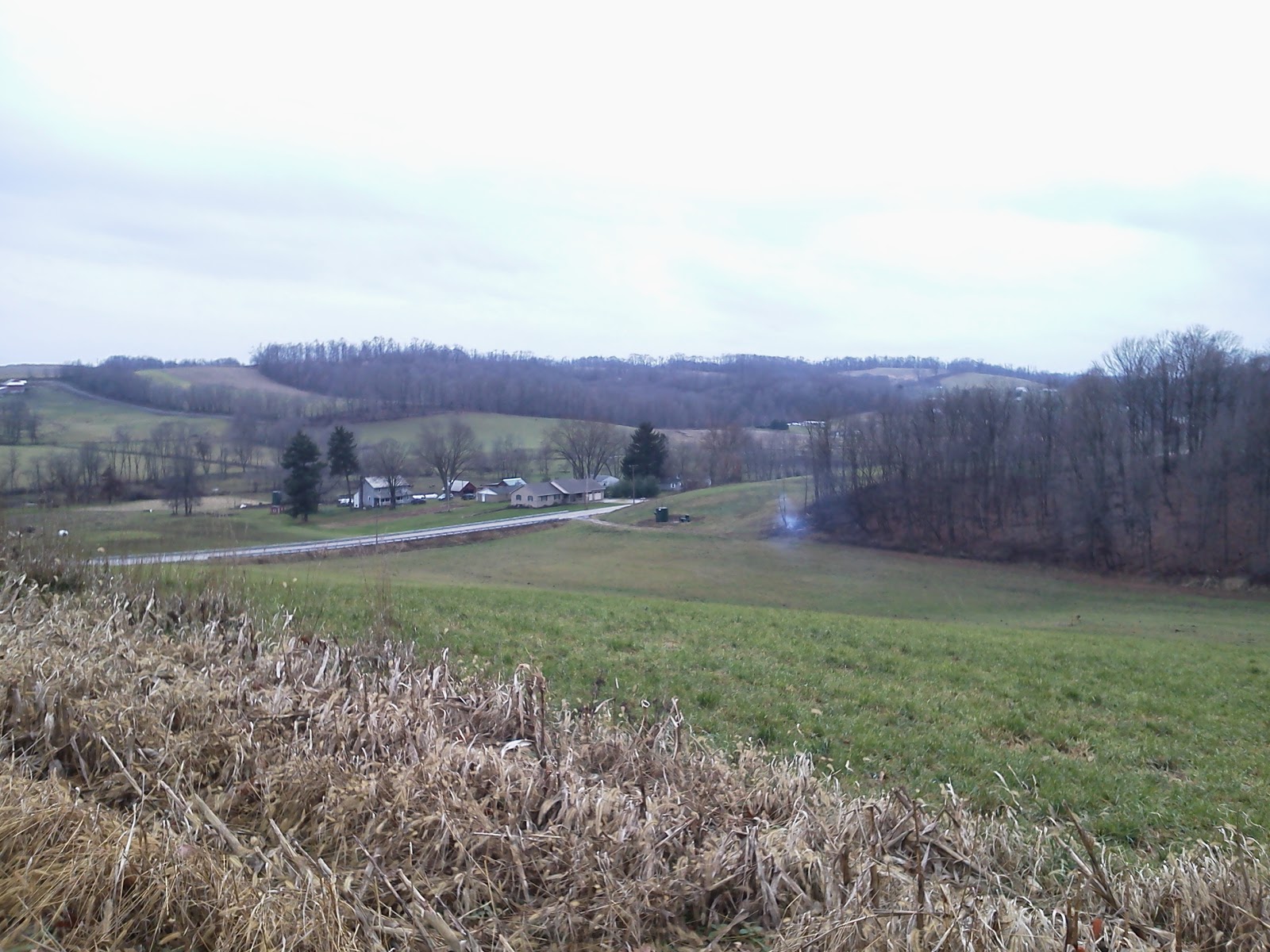 Conser Run Report: Field clearing project almost done and a surprise ...