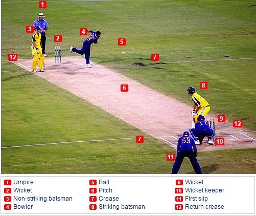 S.P.A Solo Raya Blog: The origin of Cricket