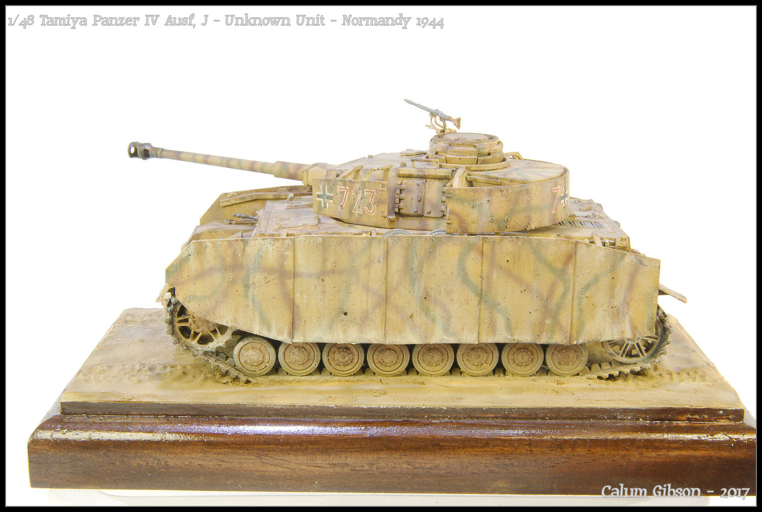 The Hamfisted Modeller: 1/48 Tamiya Panzer IV Ausf, J - Unknown Unit ...