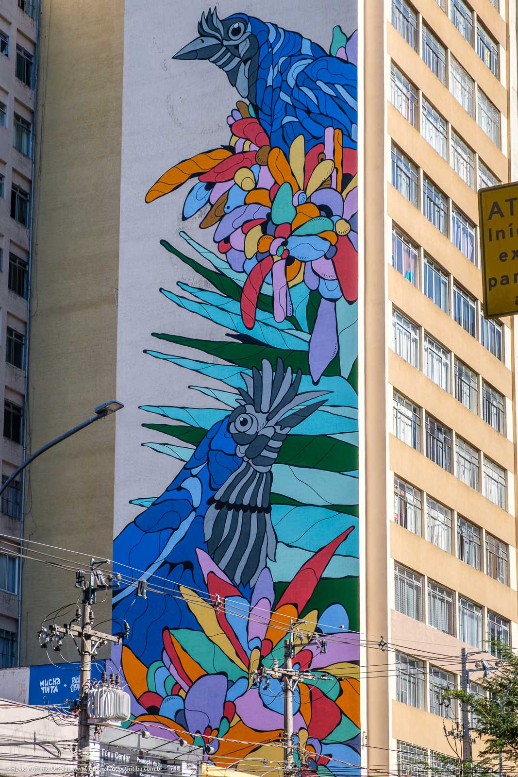 Fotografando Curitiba: Um mural paranista