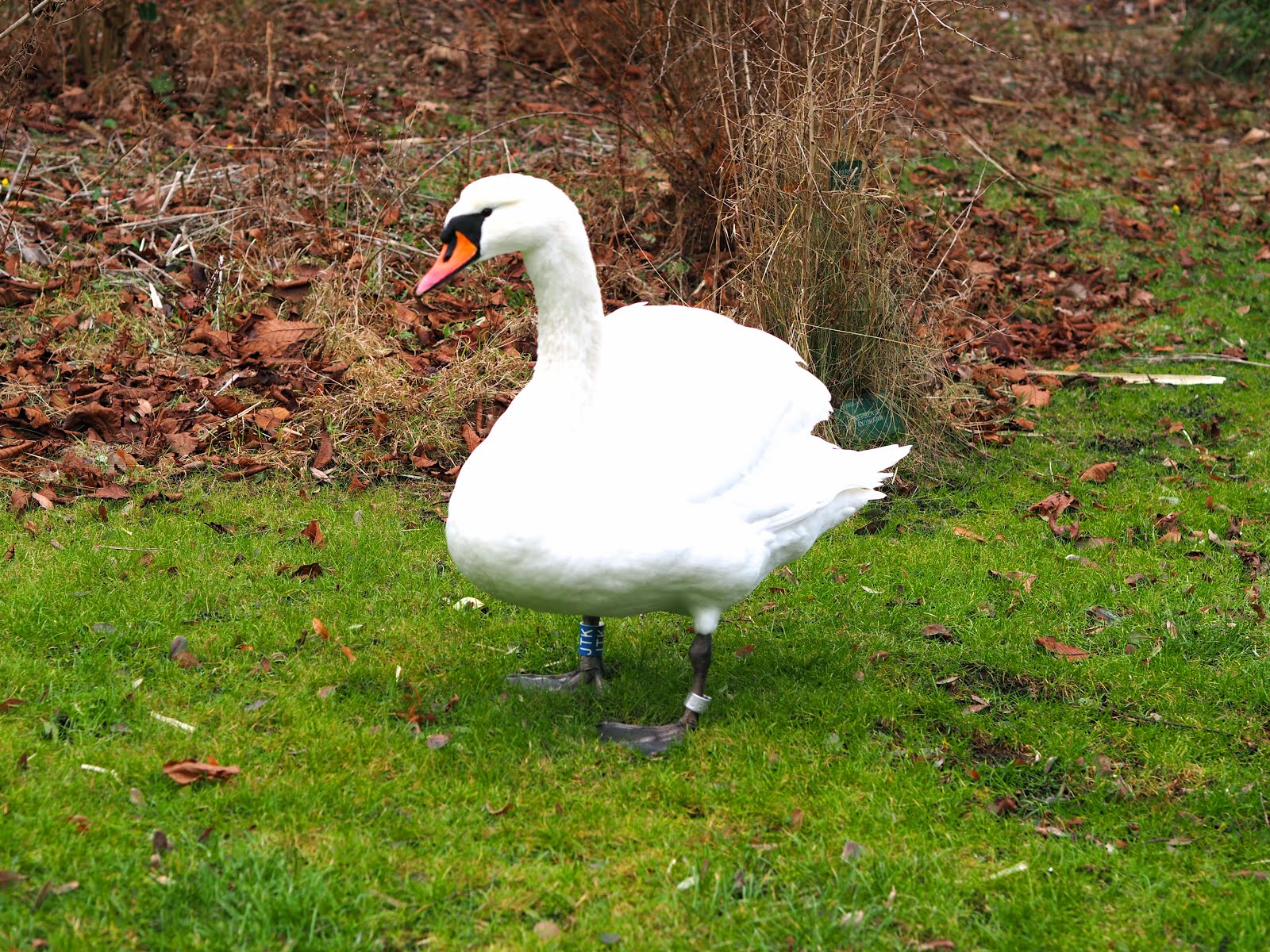 My Travels: First Month in Copenhagen and Trip to Athens