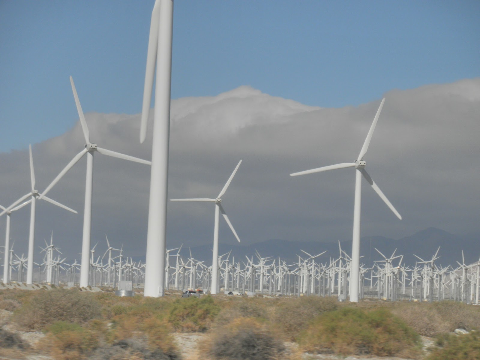 Festive Fibers: Travel; Food Color and Pattern