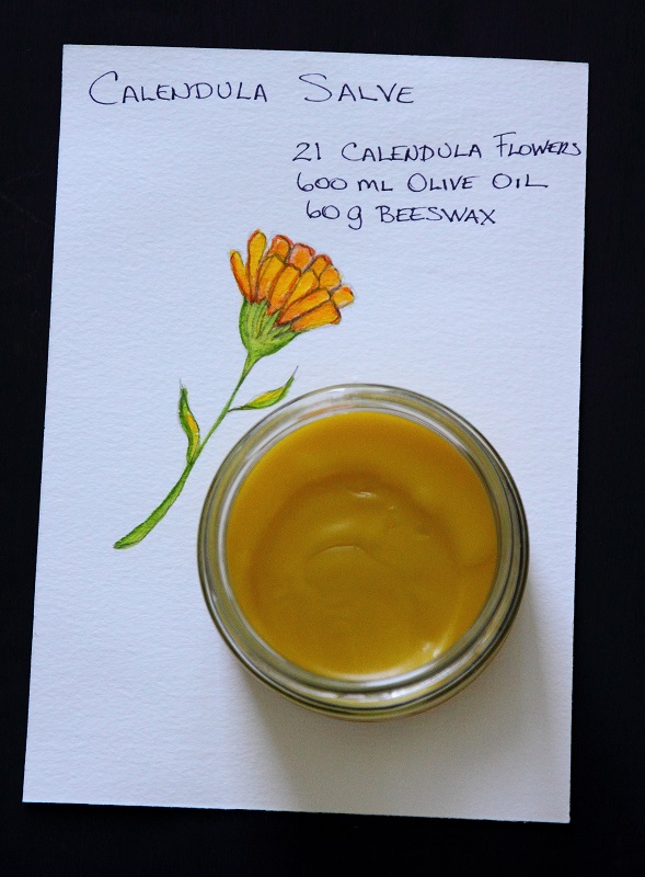 Calendula Salve