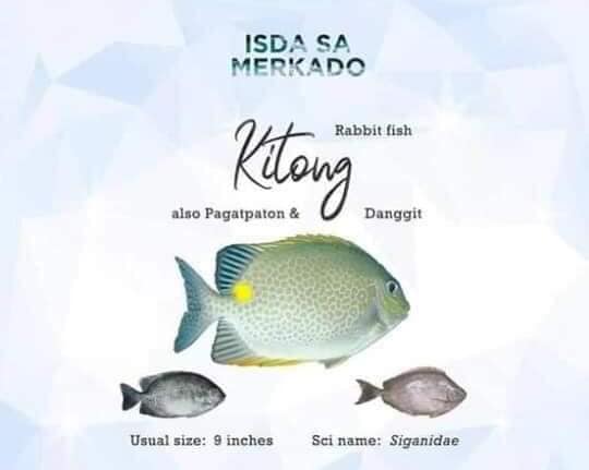 Ibat-Ibang Klase ng Isda at Iba Pang Laman-Tubig na Karaniwang Mabibili ...