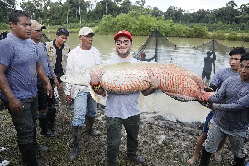 Nos flipa el paiche, el pescado prehistórico de la Amanzonía | Viajes ...