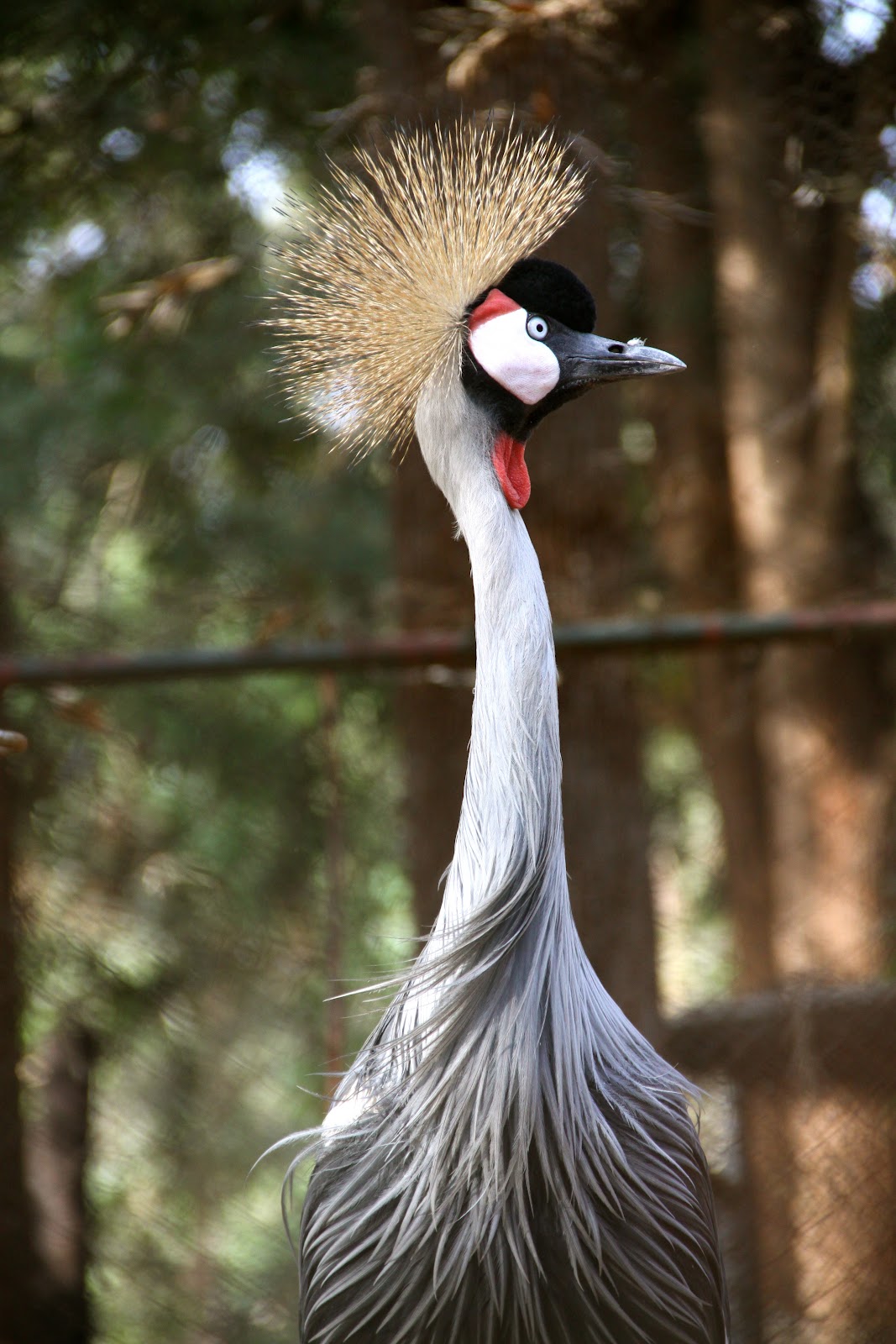 My Scenic Byway: Nairobi Animal Orphanage