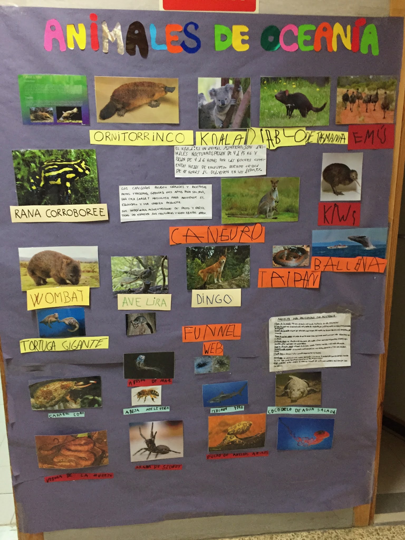 TU AULA PT: PROYECTO OCEANIA