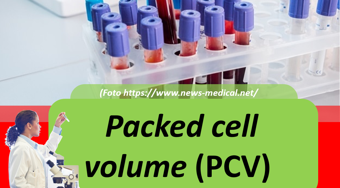 Packed cell volume (PCV)