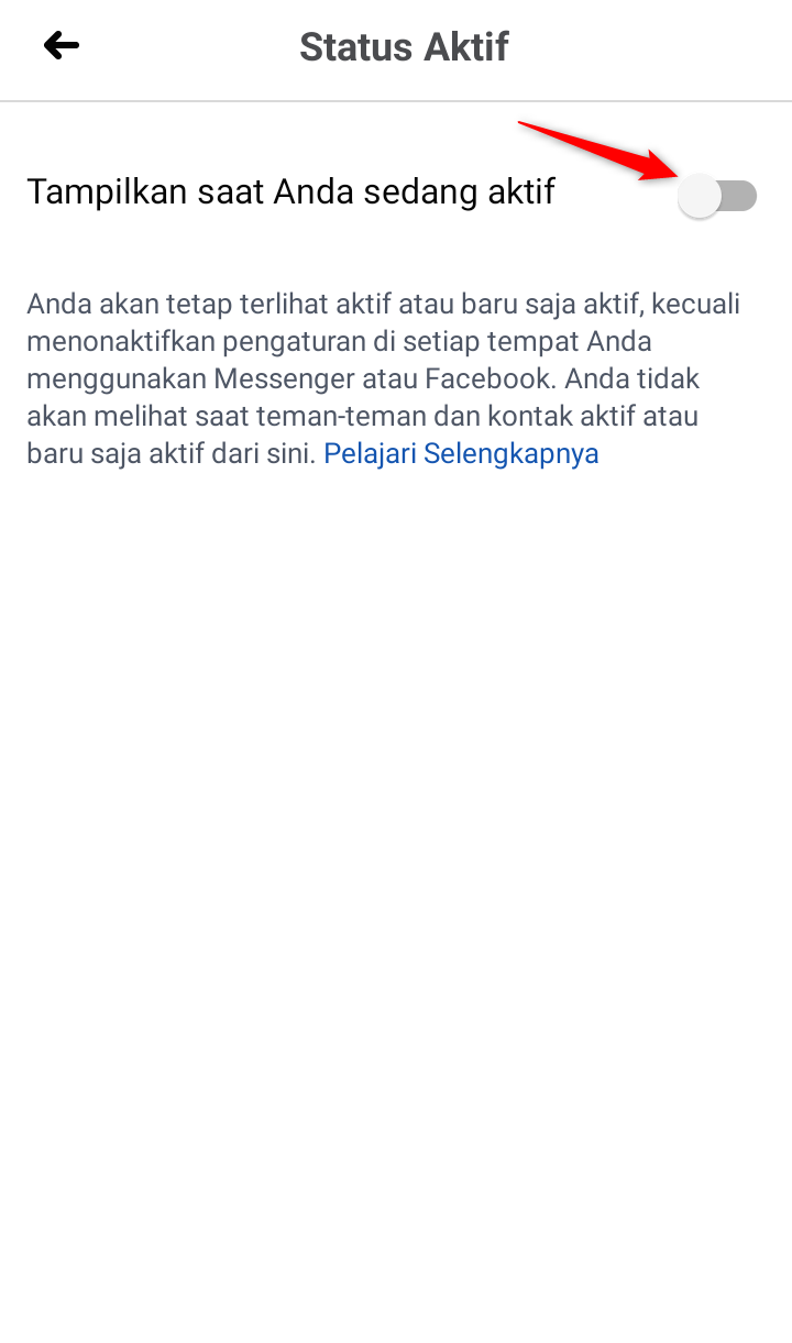 Cara Menyembunyikan Status Online Di Facebook ~ Cari2-Cara