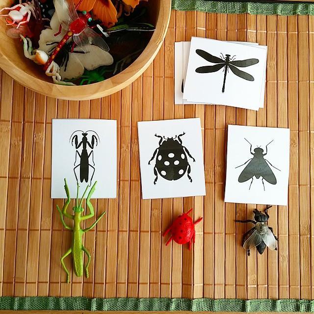 FREE Insects & Spider Silhouette Cards | The Pinay Homeschooler
