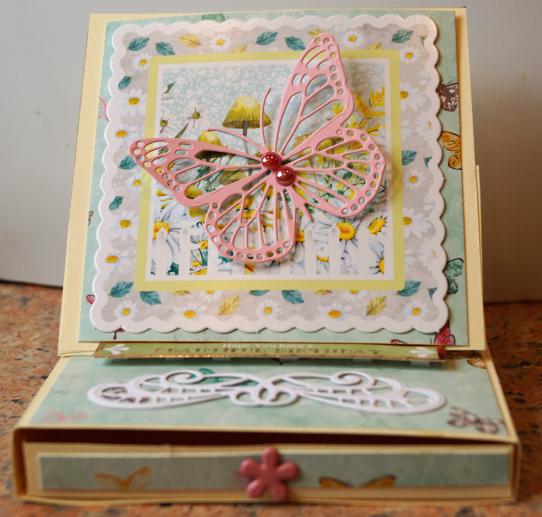 Onions and Paper: Butterfly Box