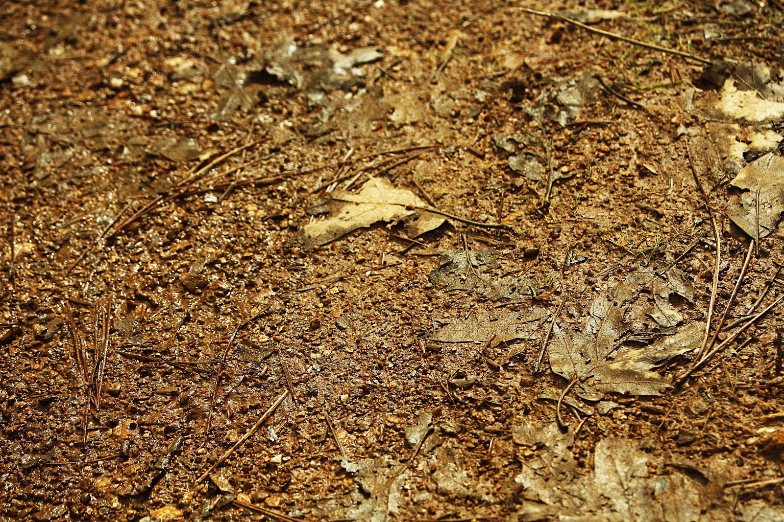 13 Natural Textures | ibjennyjenny Free Resources