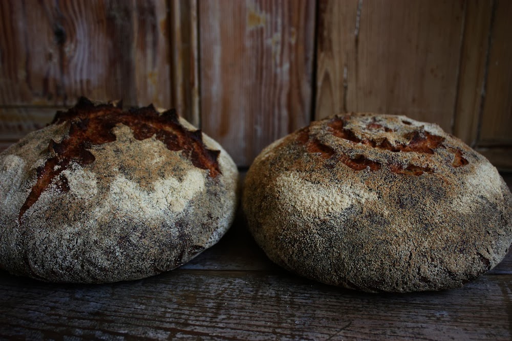 Girl Meets Rye : Michette