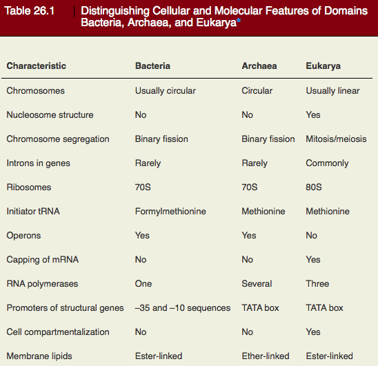 Biological-Freak: 最接近真核細胞之原核細胞—洛基古菌(Lokiarchaeota) 10-28-2018