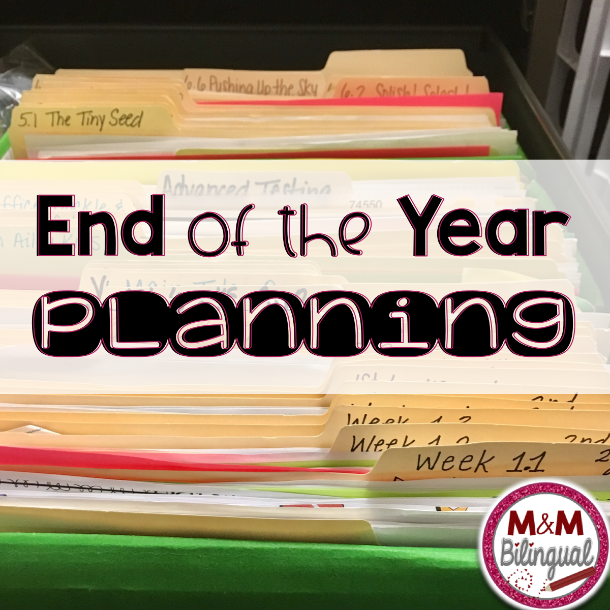 M&M Bilingual: End of Year Tips - Blog Hop