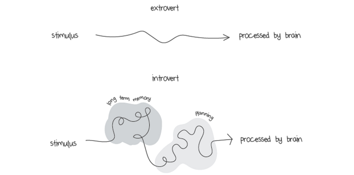 The Lollipop.Log: Understanding an Introvert