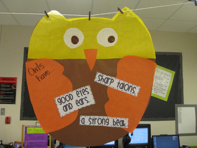 The First Grade Jungle: all over the place