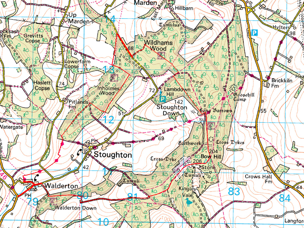 Bikes and Routes: Kingley Vale Loop