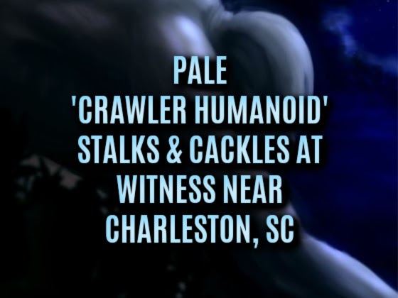 Phantoms and Monsters - Real Eyewitness Cryptid Encounter Reports