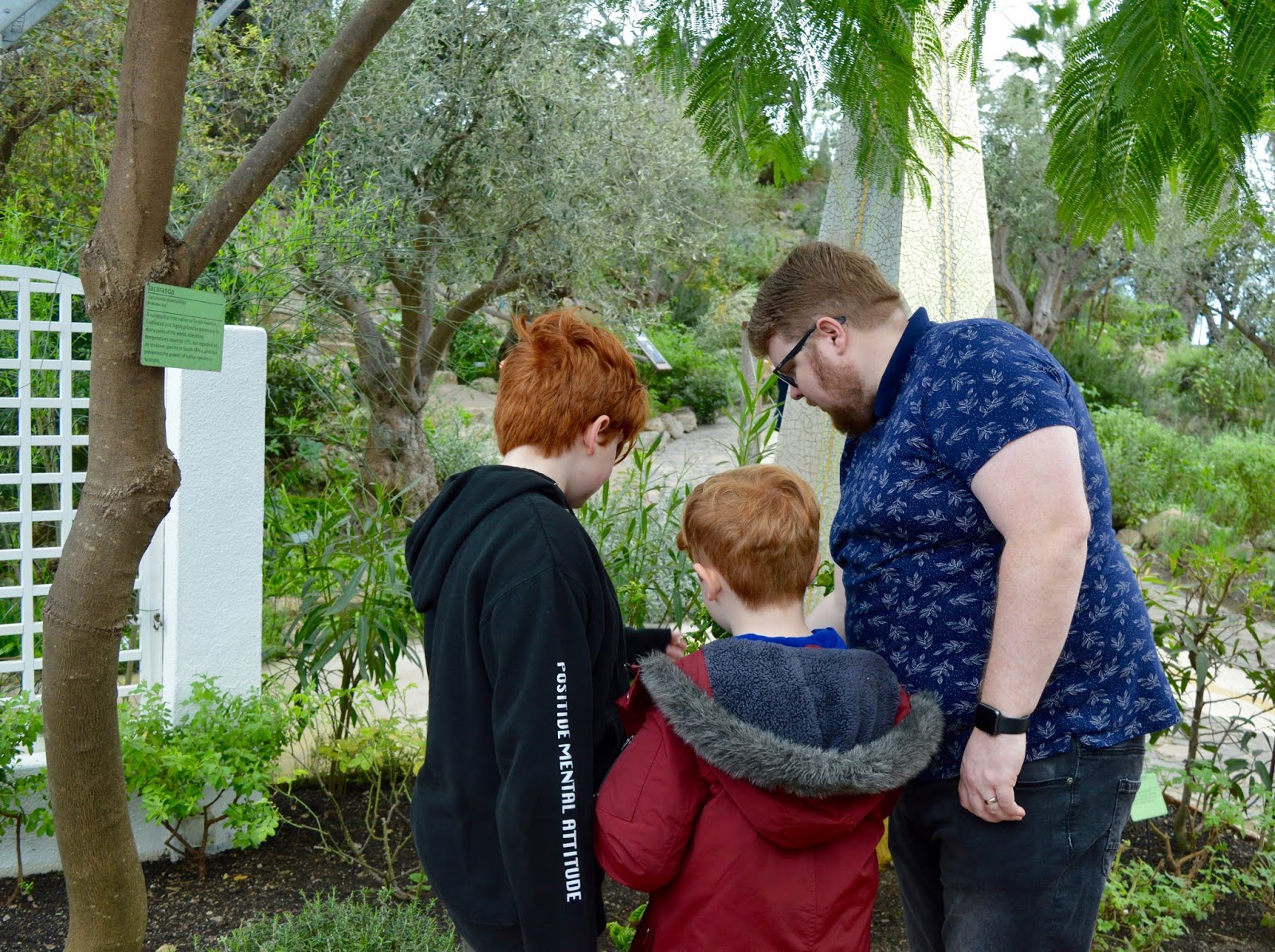 10 Reasons to Visit the Eden Project in Winter | North East Family Fun