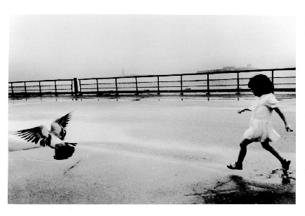 The Lesion Journals: How I Met Flo Fox