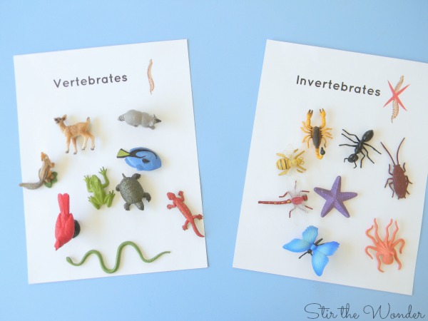 Arts and Crafts 1º de primaria.