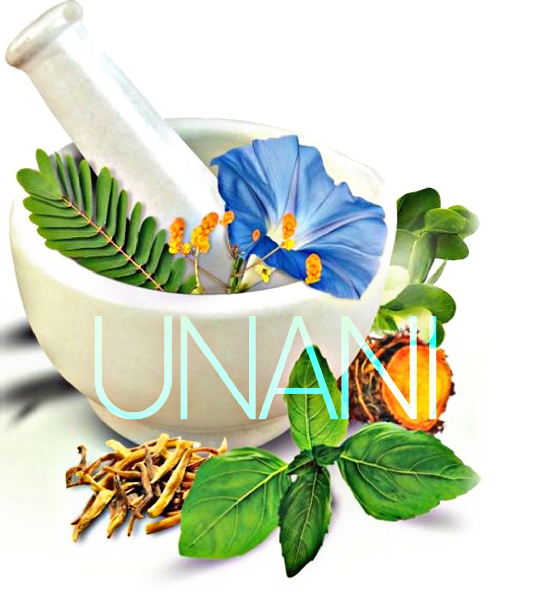 BASIC PRINCIPLE OF UNANI SYSTEM ~ Acetylpharma