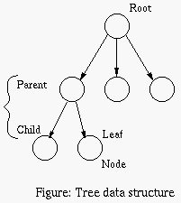 Non - Linear Data Structure : Trees | The Daily Programmer