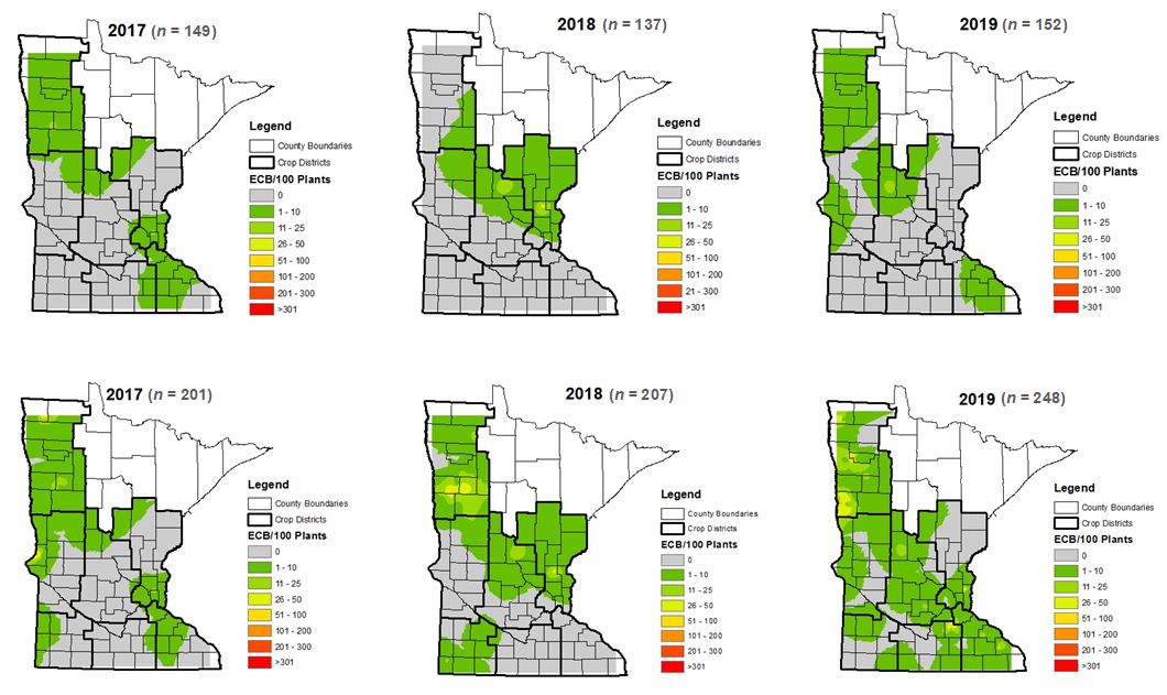 Reducing Bt trait acres in 2020 corn? - Morning Ag Clips