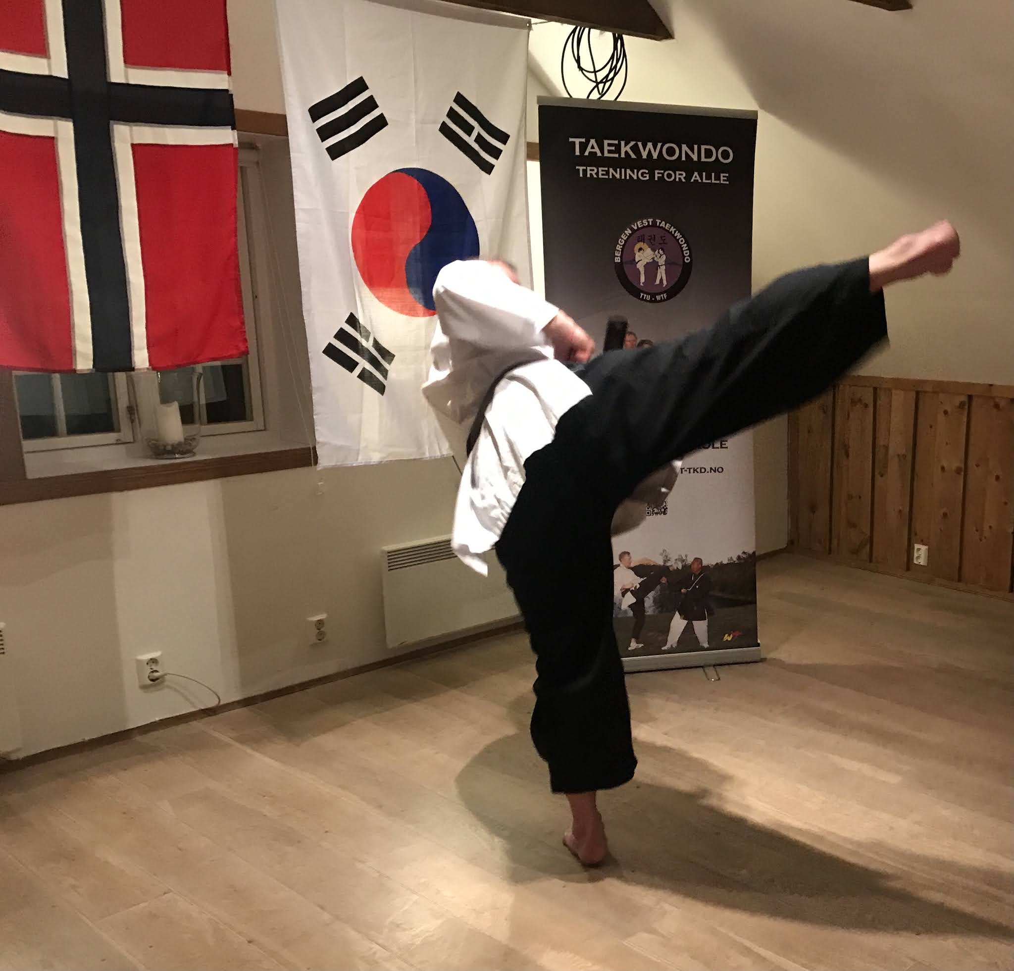 Traditional Taekwondo Ramblings: The Original Koryo Hyung Part 2: Kim ...
