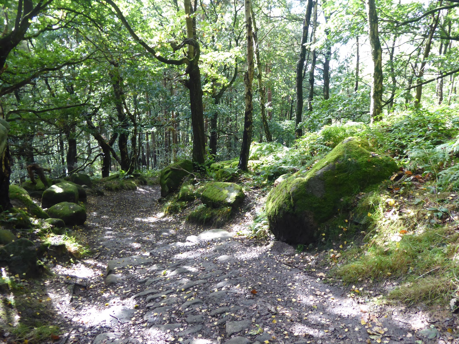 Bunny Mummy: Padley Gorgeous