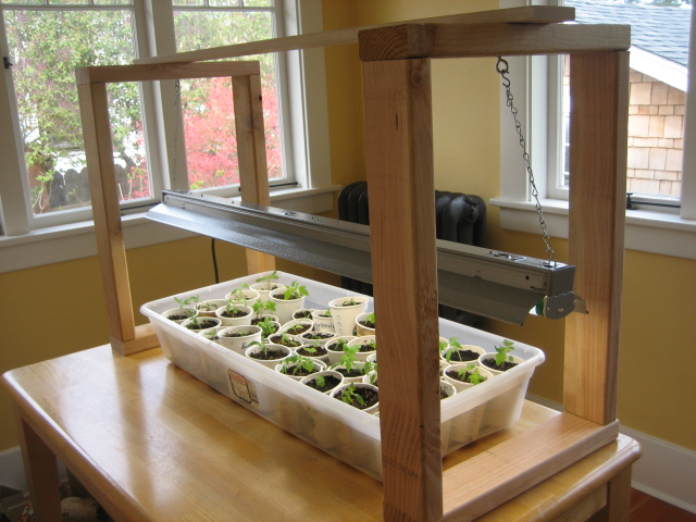 The Tacoma Kitchen Garden Journal: DIY- Grow Light