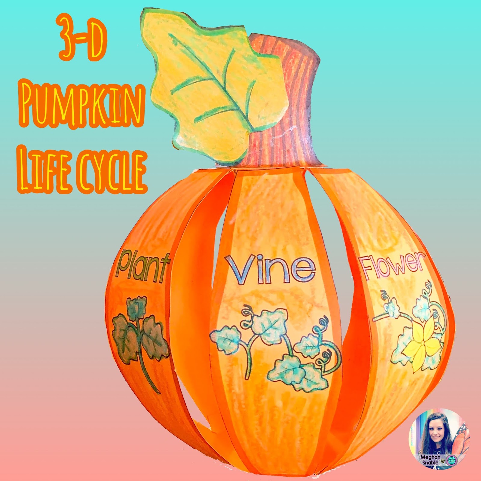 The Creative Colorful Classroom: 3-D Pumpkin Life Cycle