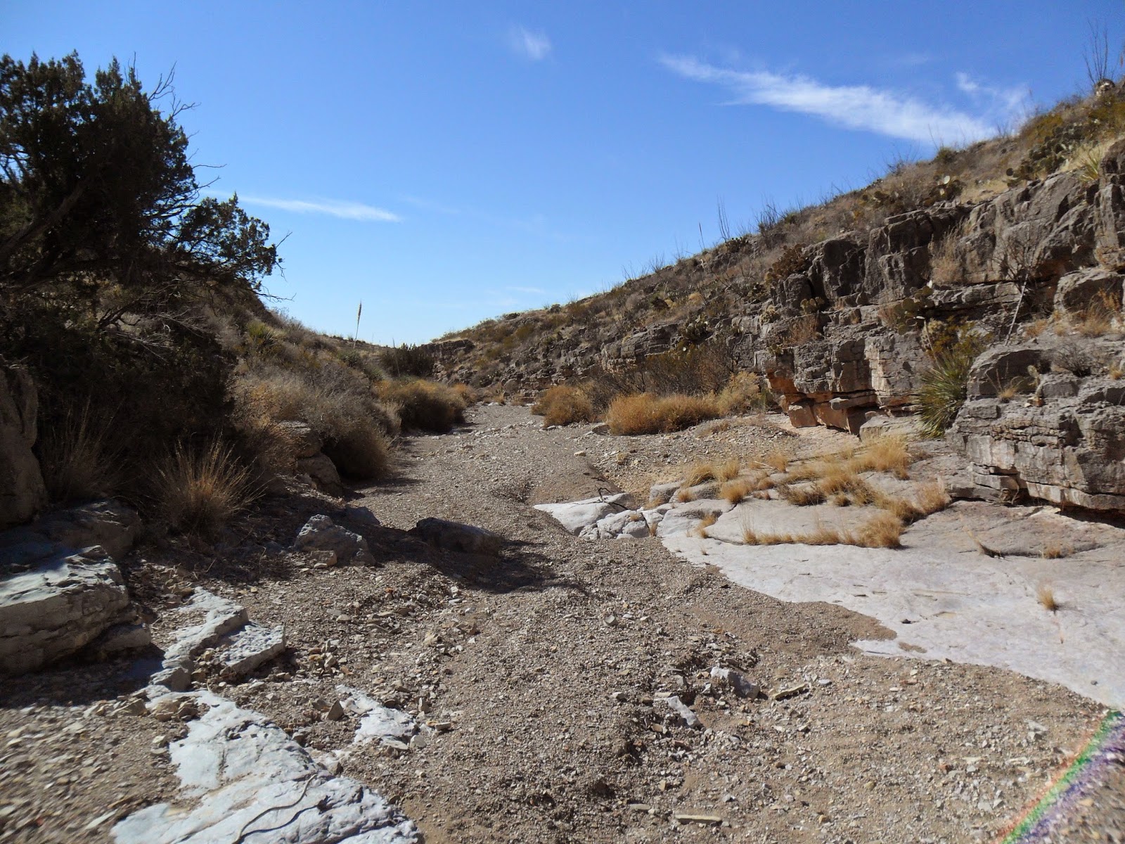 Southern New Mexico Explorer: Robledo Mountains Wilderness - Indian ...