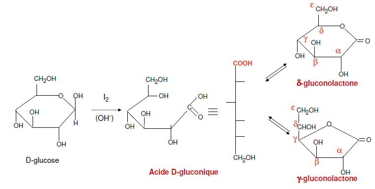 les propriétés des oses | iLoveSnv