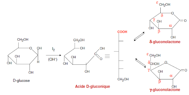 les propriétés des oses | iLoveSnv