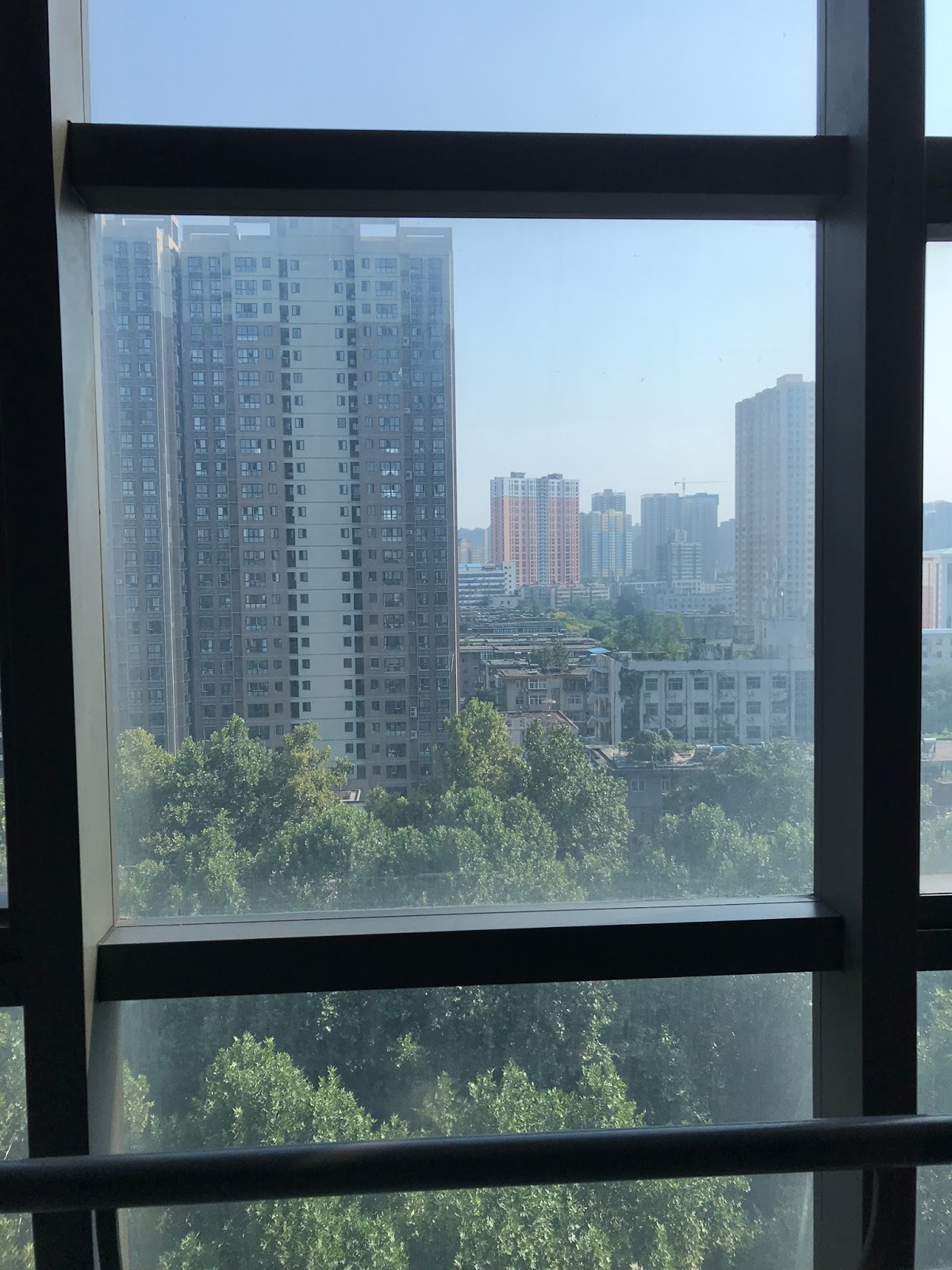 What do you see outside your window?