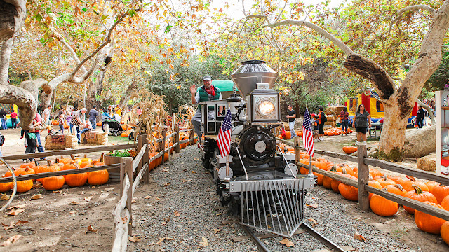 ON THE GO OC - Things to do with your family.: Irvine Park Railroad's 14th Pumpkin Patch Deets ...