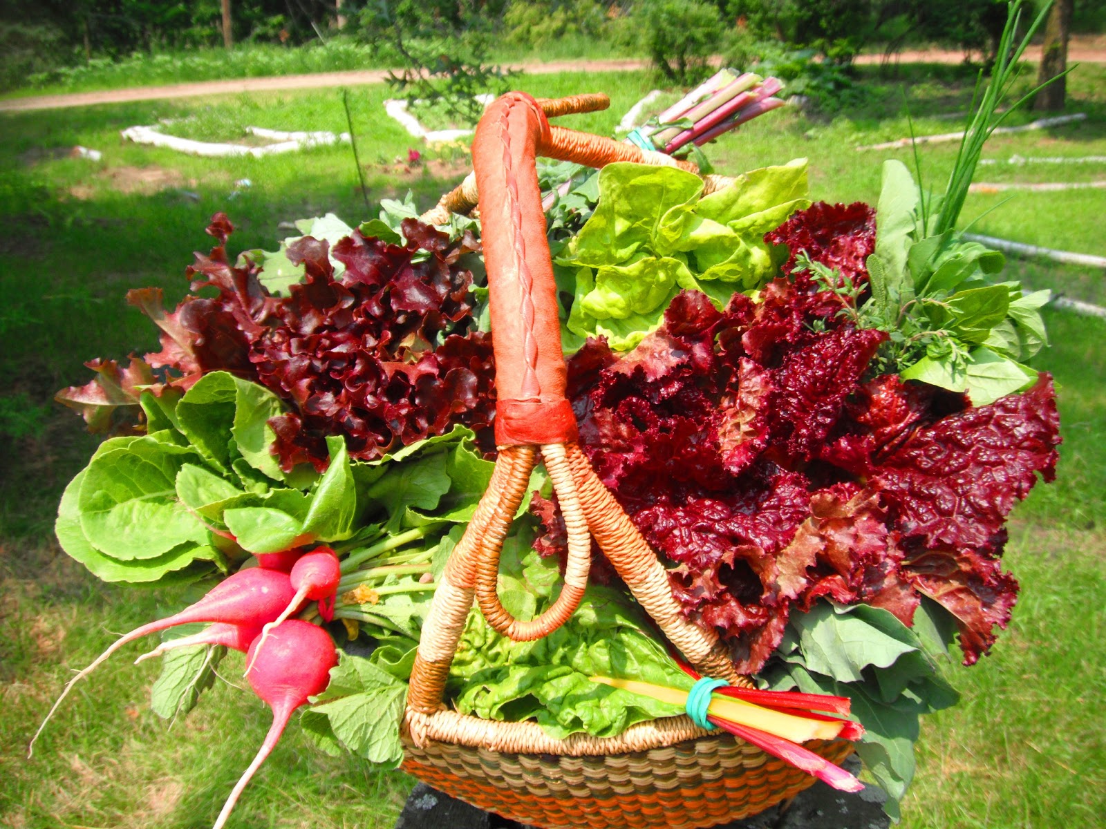 Luster Lands Organic Farm