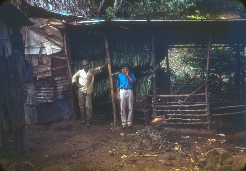 Everyday Life of Puerto Rico in the Mid-1940s Through Amazing Color ...