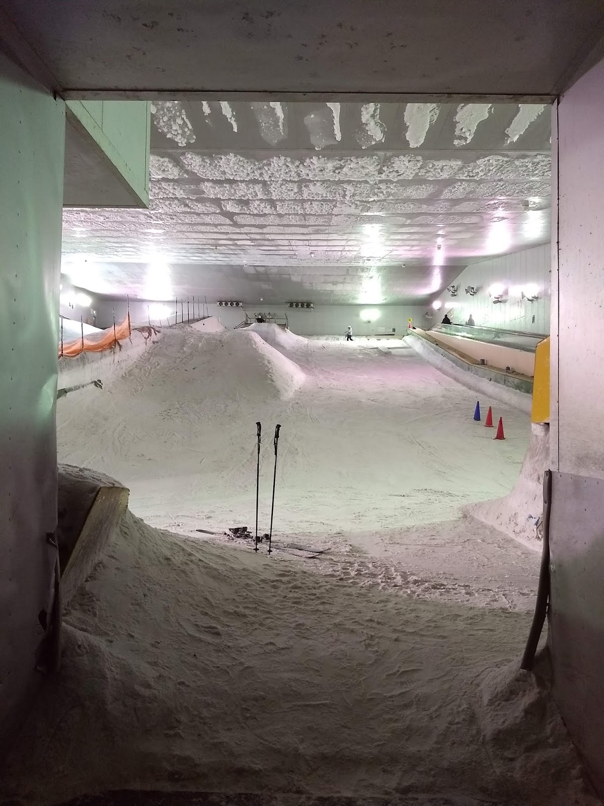 Skiing the Planet: Tokyo commute. With skis.